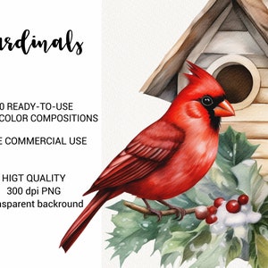 Watercolor Red Cardinals Clipart, Winter Birdhouse Cardinal, Cozy ...