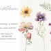 Watercolor Wildflowers Clipart Meadow Floral Clip Art Summer - Etsy
