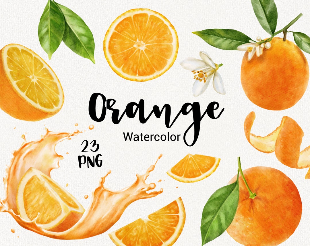 Watercolor Orange Clipart, Citrus Fruit Clip Art, Flowers Oranges ...