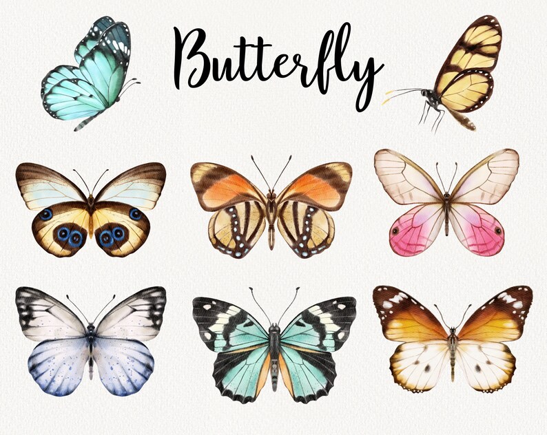 Watercolor Butterfly Clipart, Summer Clip Art, Romantic Butterfly Clip ...