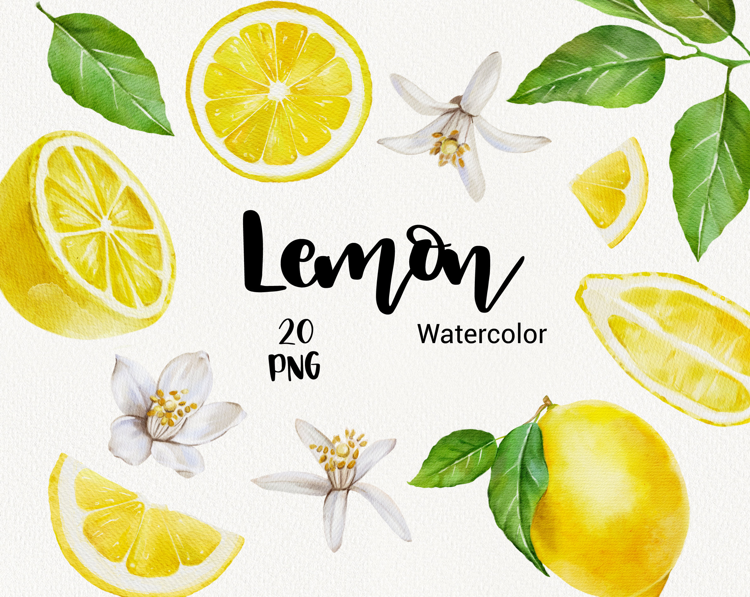 Watercolor Lemon Clipart Hand Painted Summer Lemon Fruit Clip - Etsy
