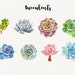 Watercolor Succulent Clipart. Spring Flowers Gardening Boho Plant and ...