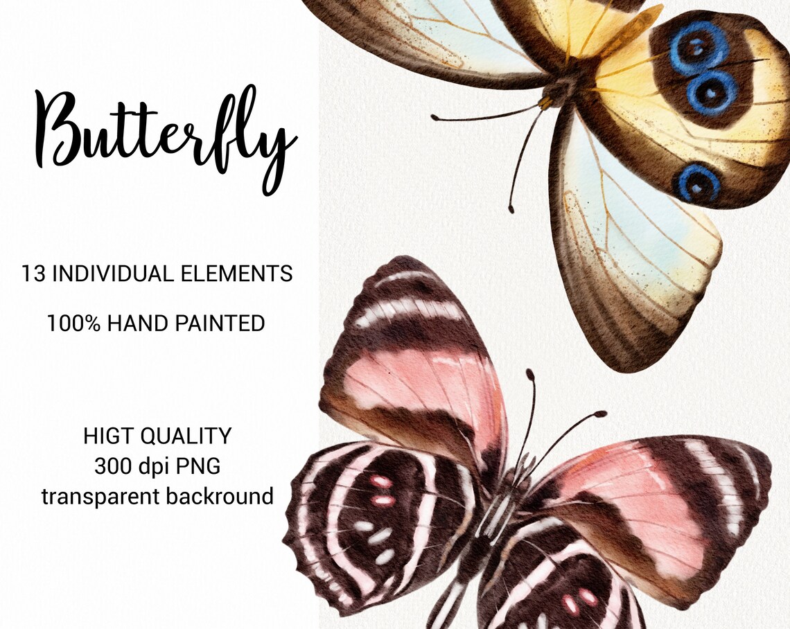 Watercolor Butterfly Clipart Summer Clip Art Romantic - Etsy