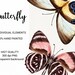 Watercolor Butterfly Clipart Summer Clip Art Romantic - Etsy