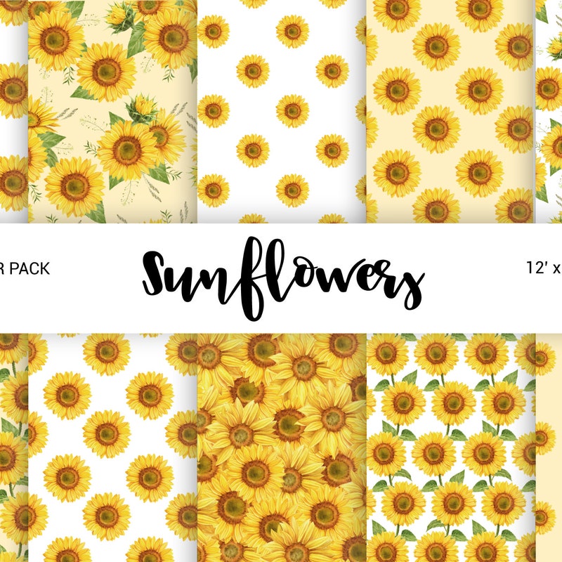 Sunflower Papers - Etsy