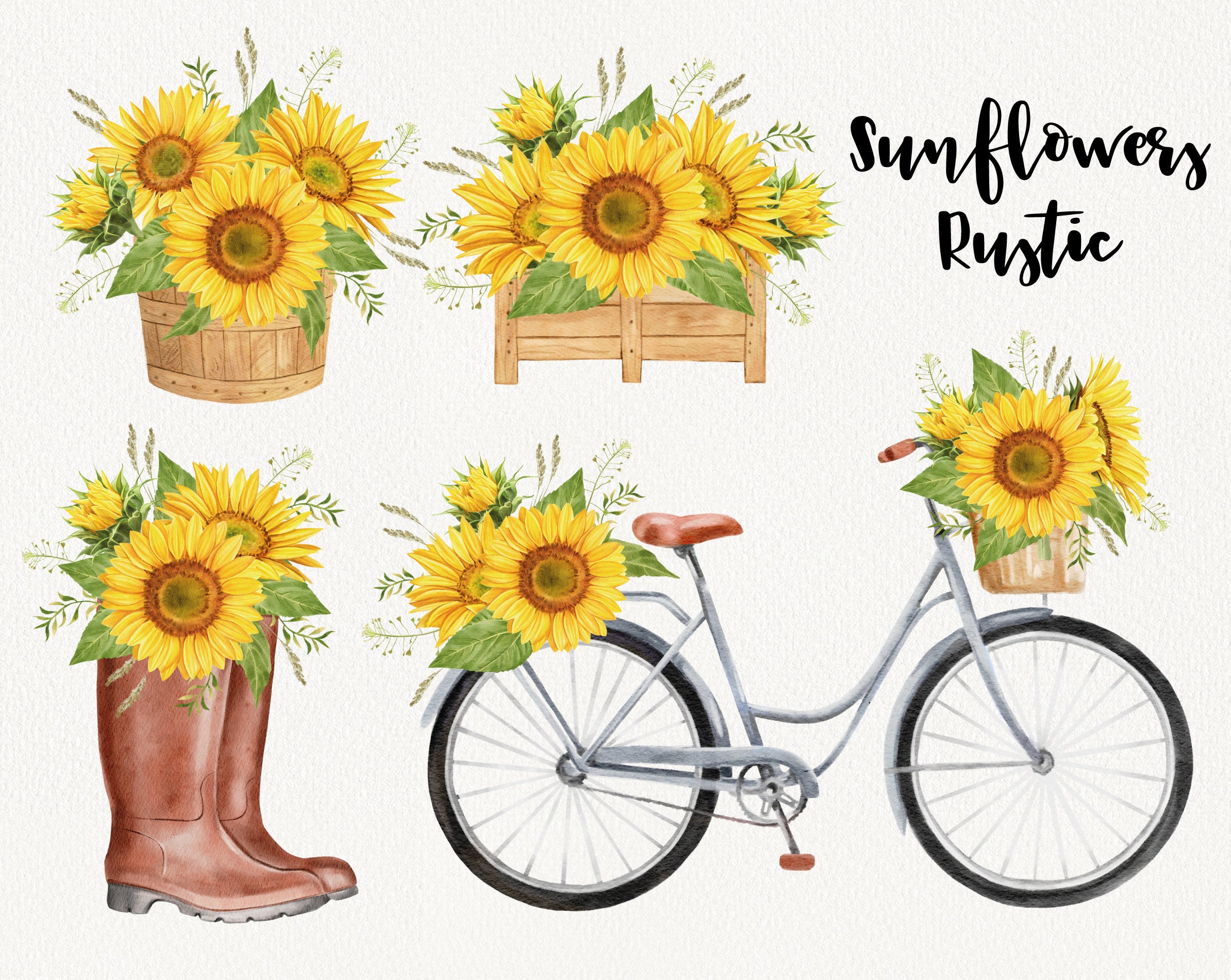 Watercolor Sunflowers Clipart Autumn Rustic Clip Art Fall - Etsy