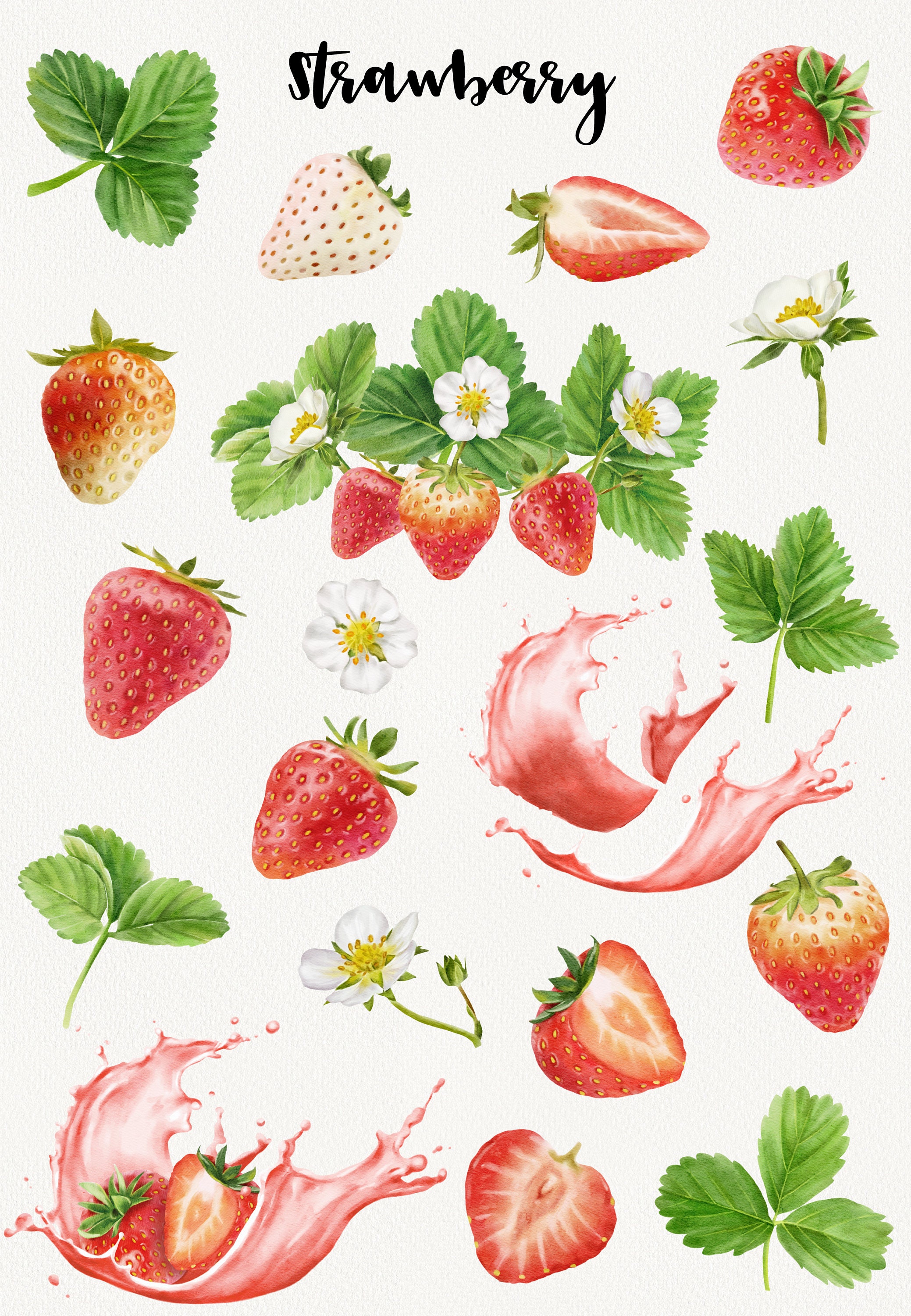 Watercolor Strawberry Clipart, Spring Fruit Clip Art, Summer Fruits ...