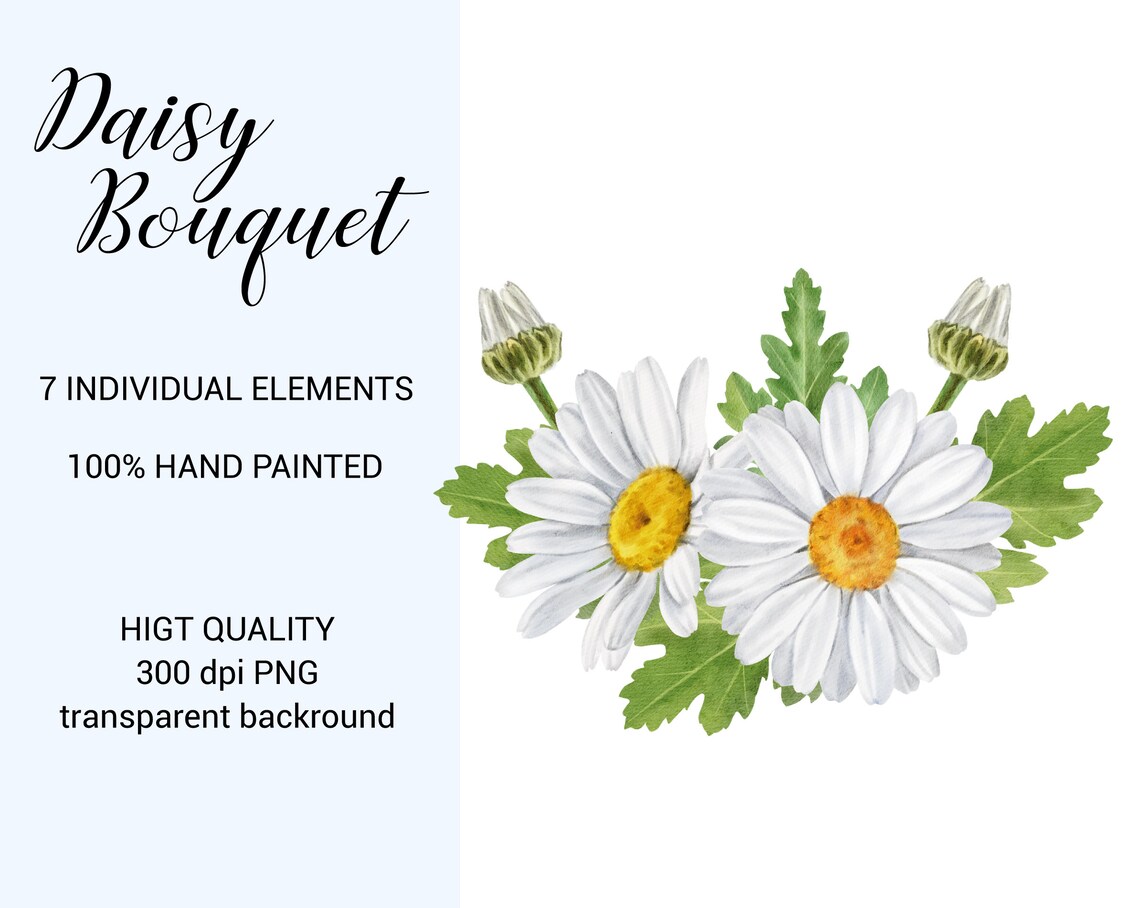 Watercolor Daisy Bouquet Clipart Chamomile Spring Flowers - Etsy