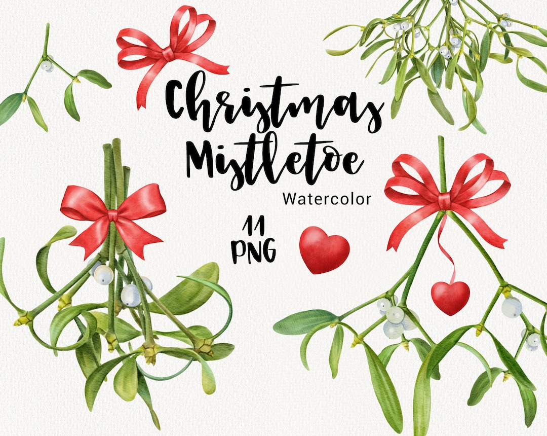 Christmas Mistletoe Clipart, Watercolor Clip Art, Winter Greenery ...