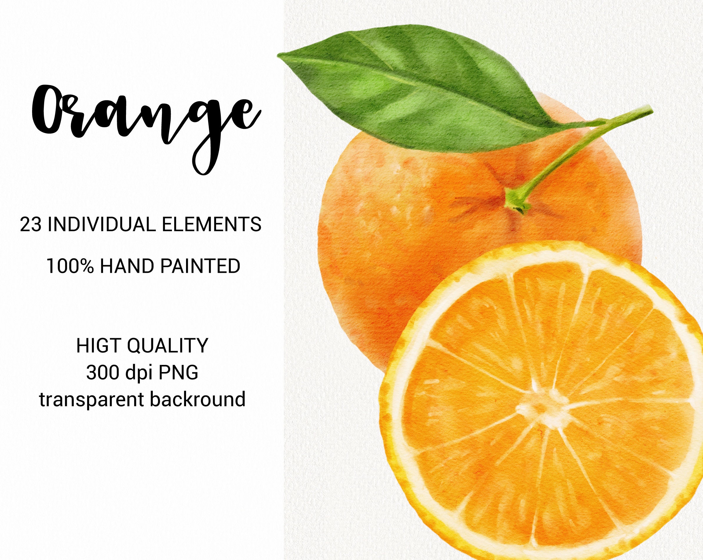 Watercolor Orange Clipart Citrus Fruit Clip Art Flowers - Etsy