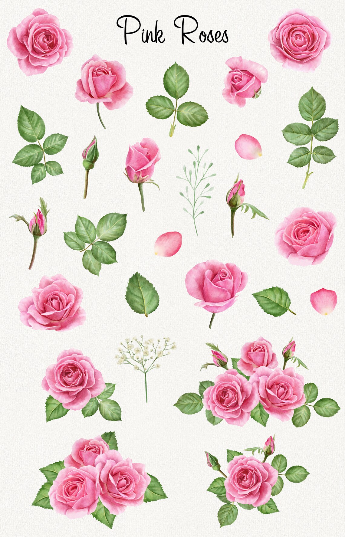 Watercolor Pink Roses Clipart Valentine's Day Flower Clip - Etsy