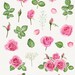 Watercolor Pink Roses Clipart, Valentine's Day Flower Clip Art, Vintage ...