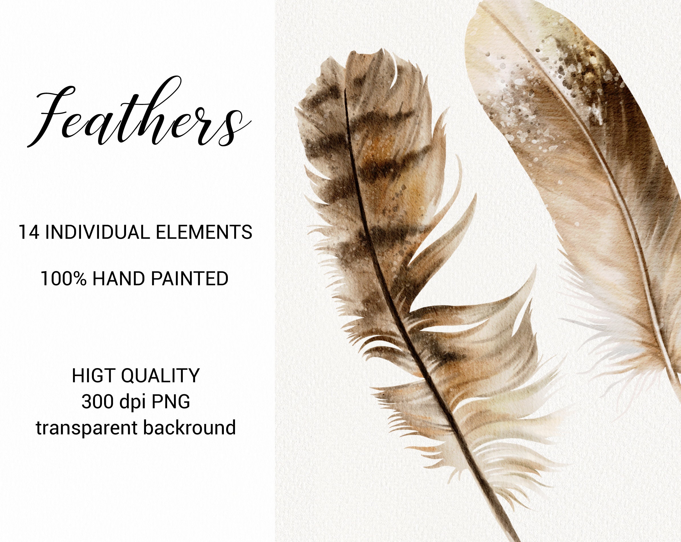 Watercolor Feather Clipart Exotic Boho Set Bohemian Clip - Etsy