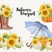 Watercolor Autumn Clipart, Pumpkin Clip Art, Fall Sunflowers, Umbrella ...