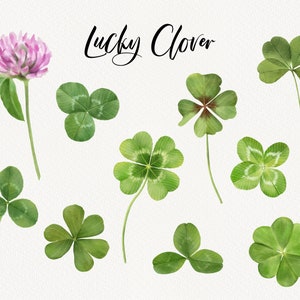 Watercolor Clover Clipart, St. Patrick's Day Clip Art, Shamrock, Green ...