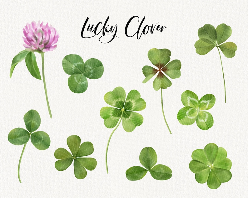 Watercolor Clover Clipart St. Patrick's Day Clip Art - Etsy