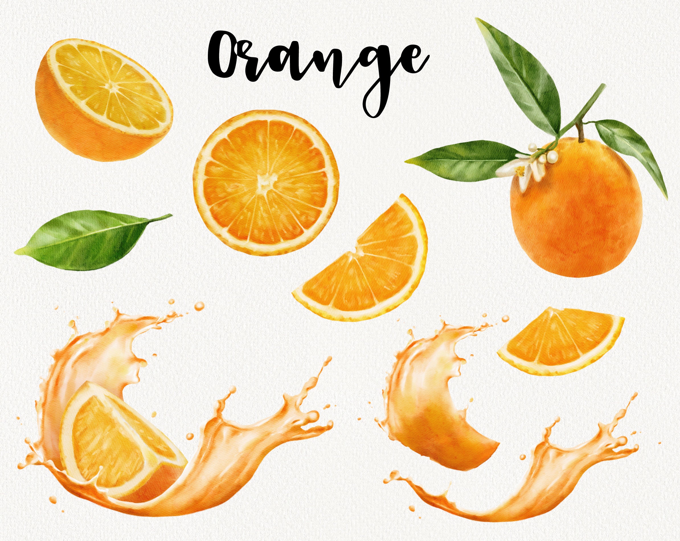Watercolor Orange Clipart Citrus Fruit Clip Art Flowers - Etsy
