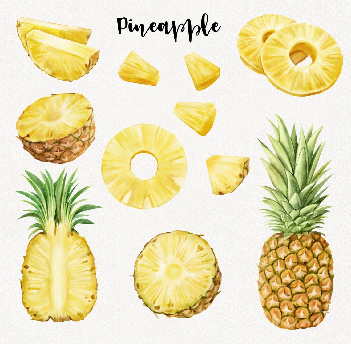 Watercolor Pineapple Clipart Tropical Fruit Clip Art Summer - Etsy
