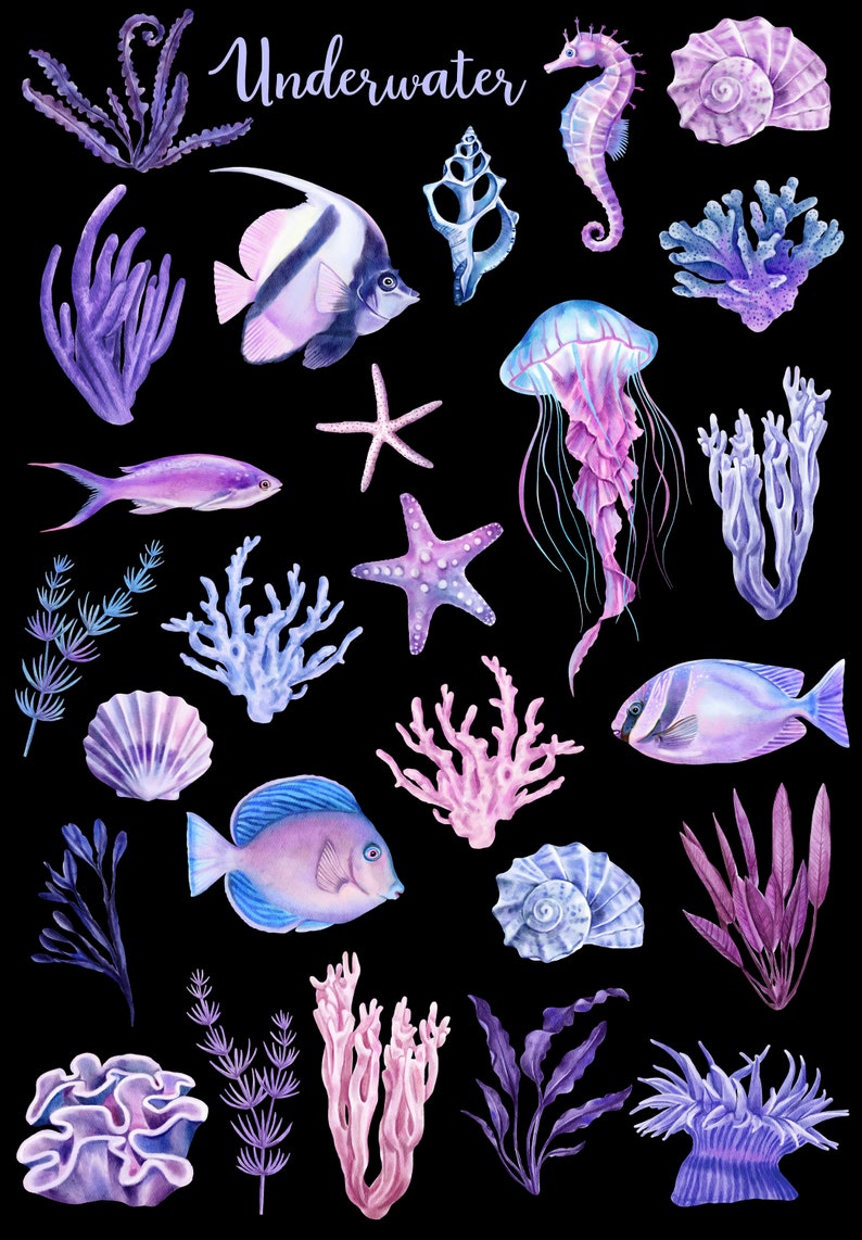 Watercolor Underwater Clipart Nautical Clip Art Sea Life - Etsy