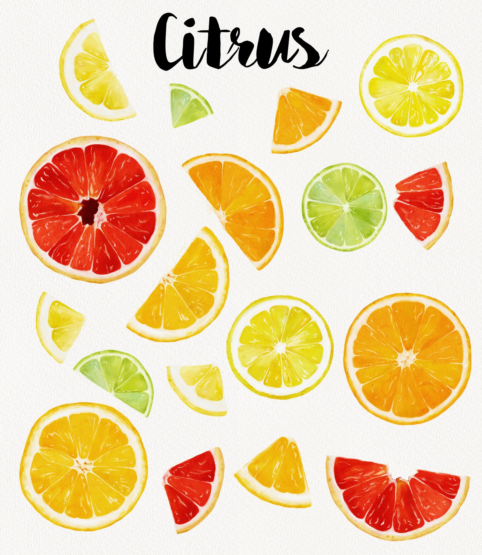 Watercolor Citrus Clipart Hand Painted Summer Lemon Orange - Etsy