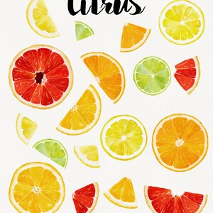 Watercolor Citrus Clipart, Hand Painted Summer Lemon, Orange ...