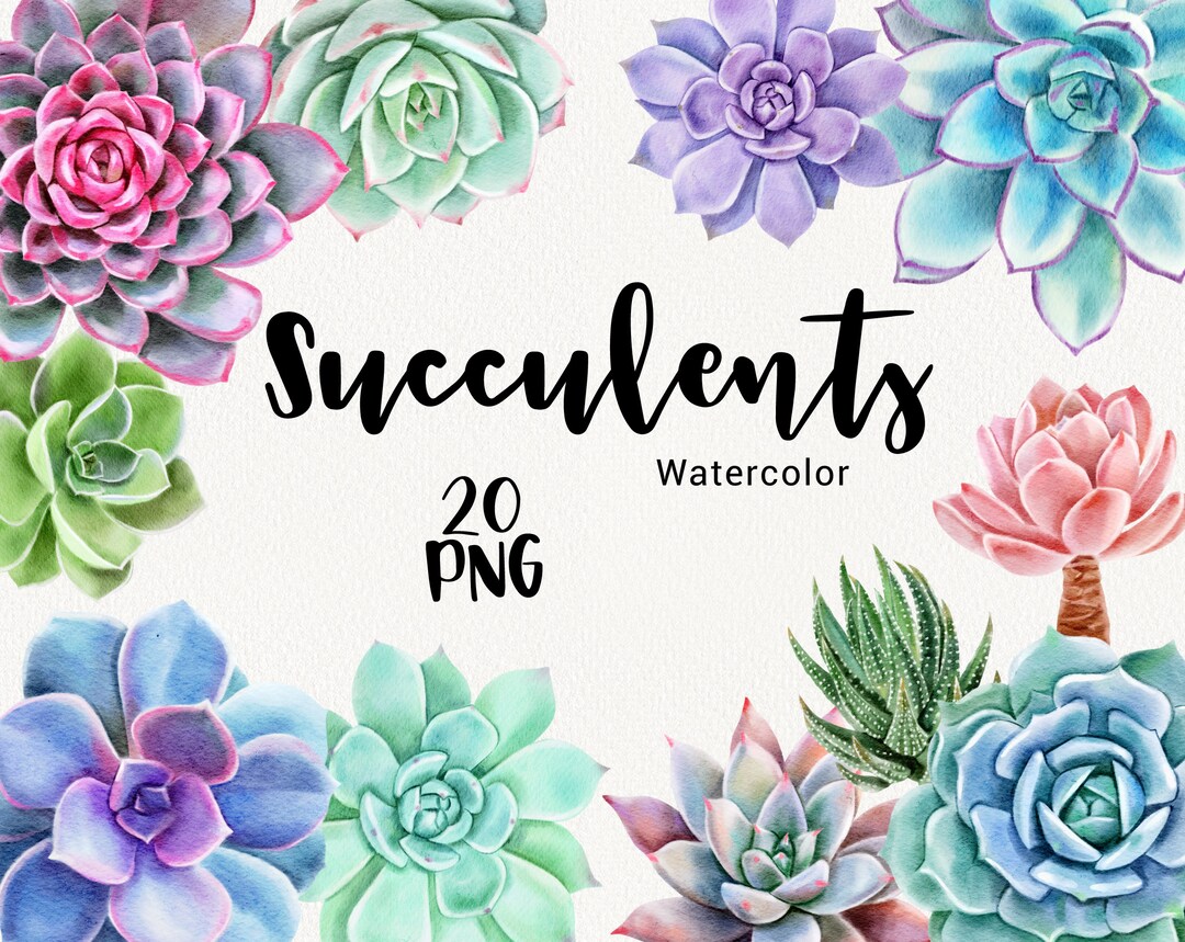 Watercolor Succulent Clipart. Spring Flowers Gardening Boho Plant and ...