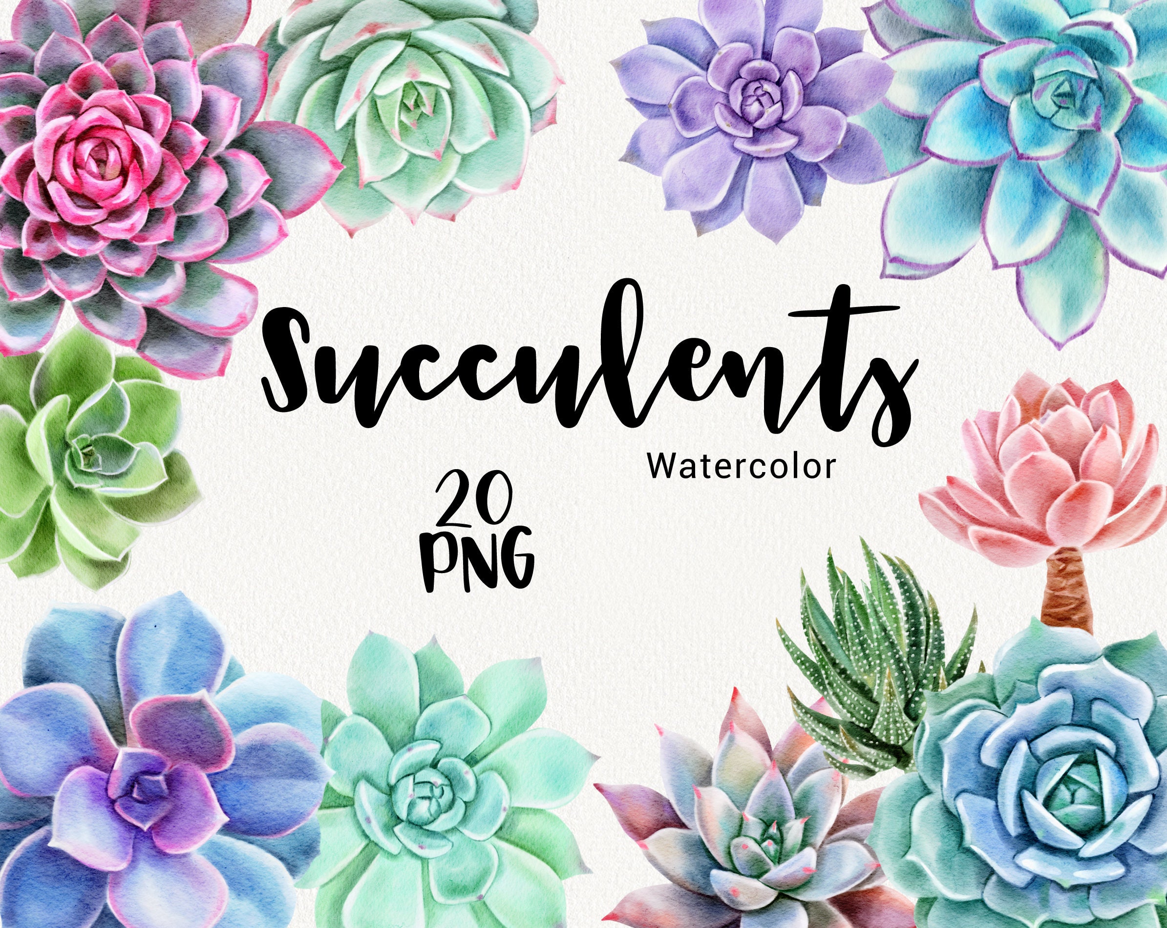 Watercolor Succulent Clipart. Spring Flowers Gardening Boho Plant and ...