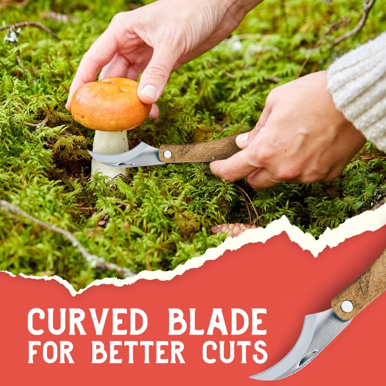 Gather Americana Premium Mushroom Foraging Knife 3 Hawkbill Blade, Boar ...