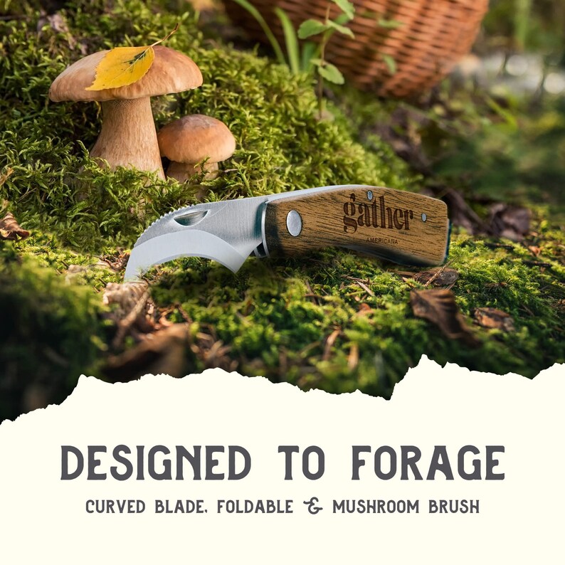 Gather Americana Premium Mushroom Foraging Knife 3 Hawkbill Blade, Boar-bristle Brush, and ...
