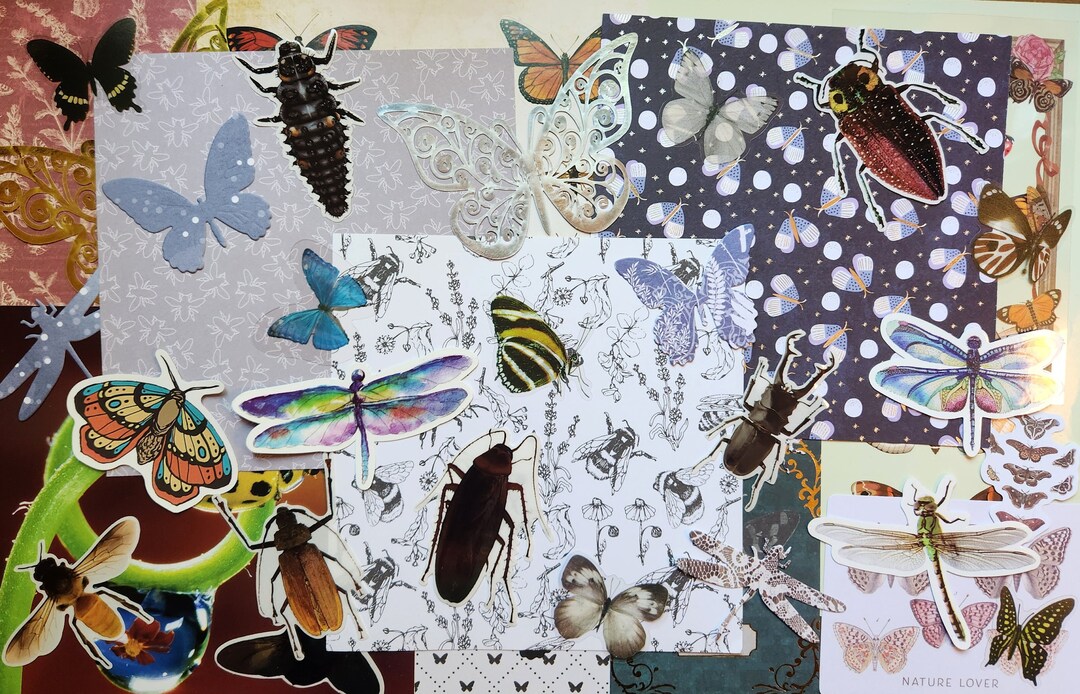 Insect Ephemera for Junk Journaling and Scrapbooking 50 Pieces - Etsy