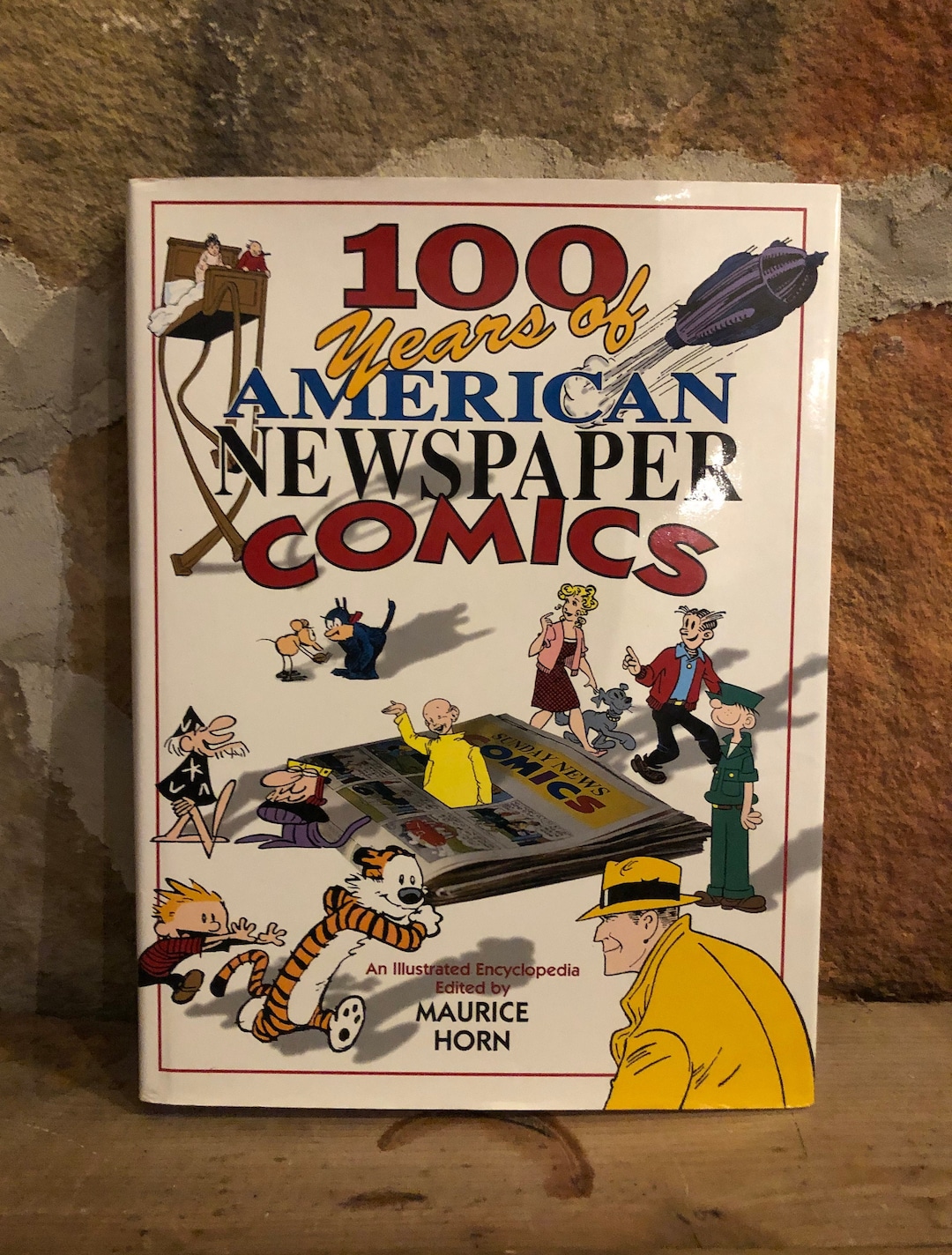 100 Years of American Newspaper Comics - Etsy