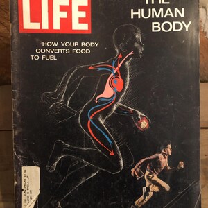 Life Magazine 1962 - Etsy