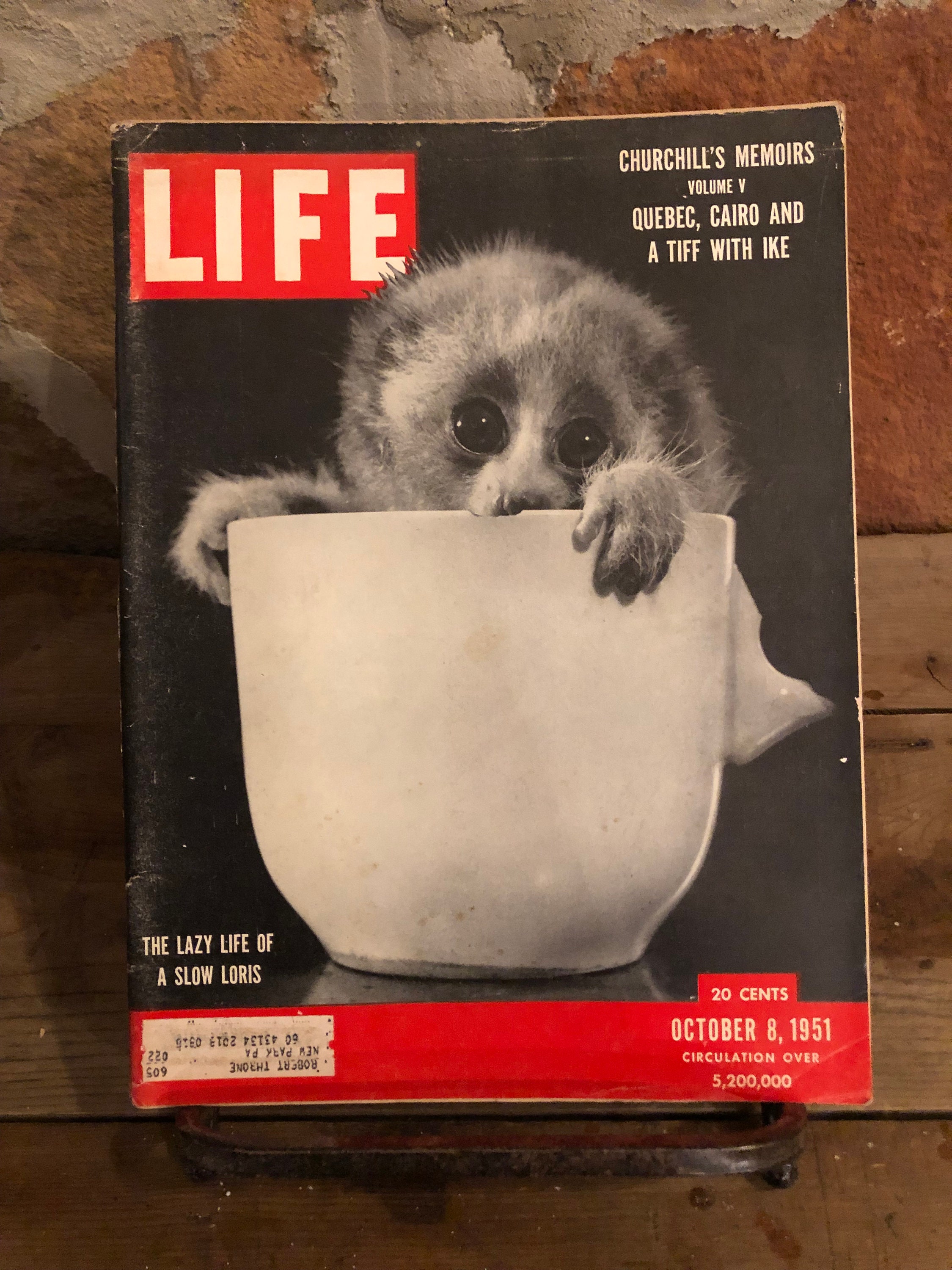Life Magazine 1951 - Etsy