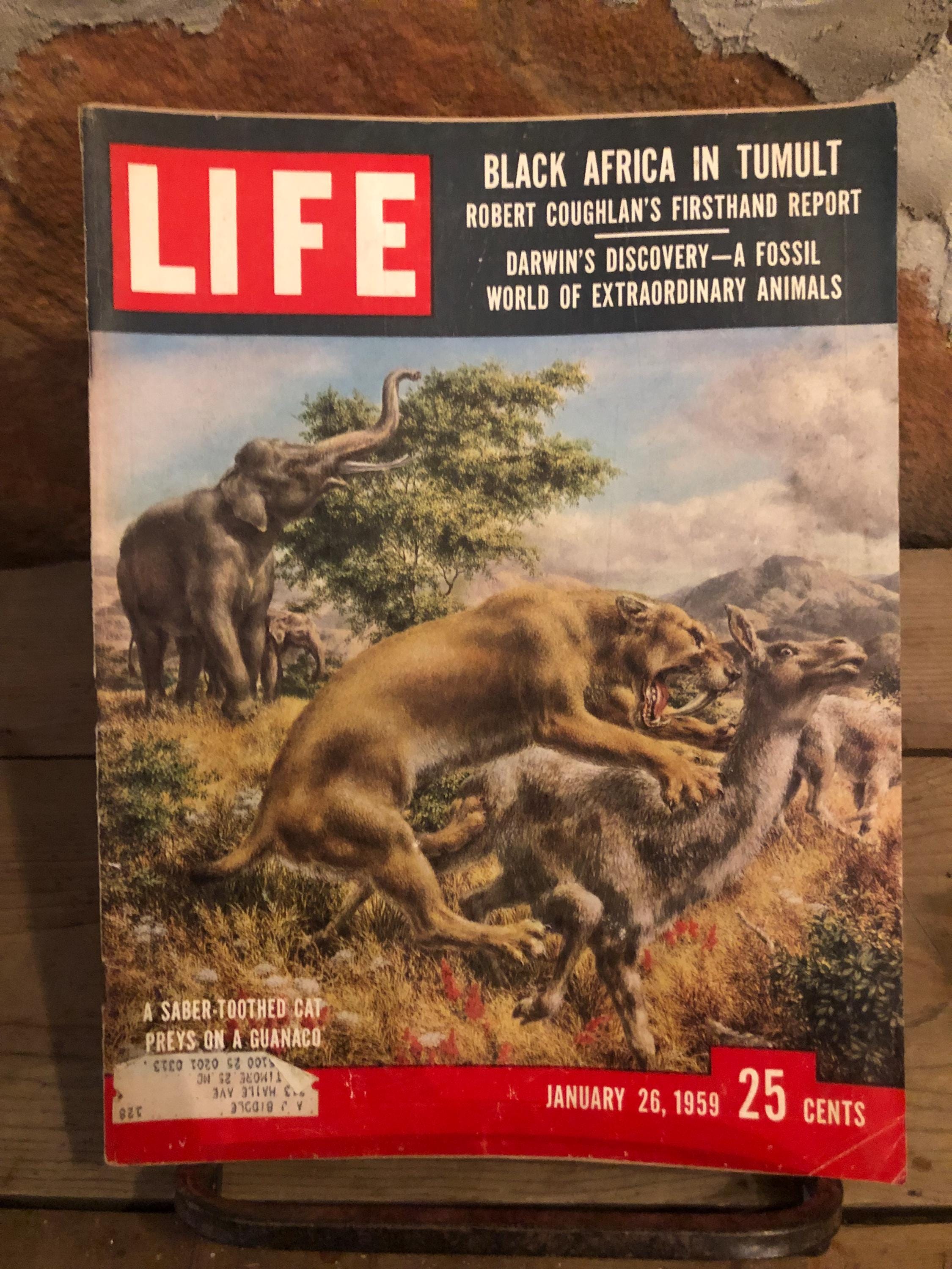 Life Magazine 1959 - Etsy