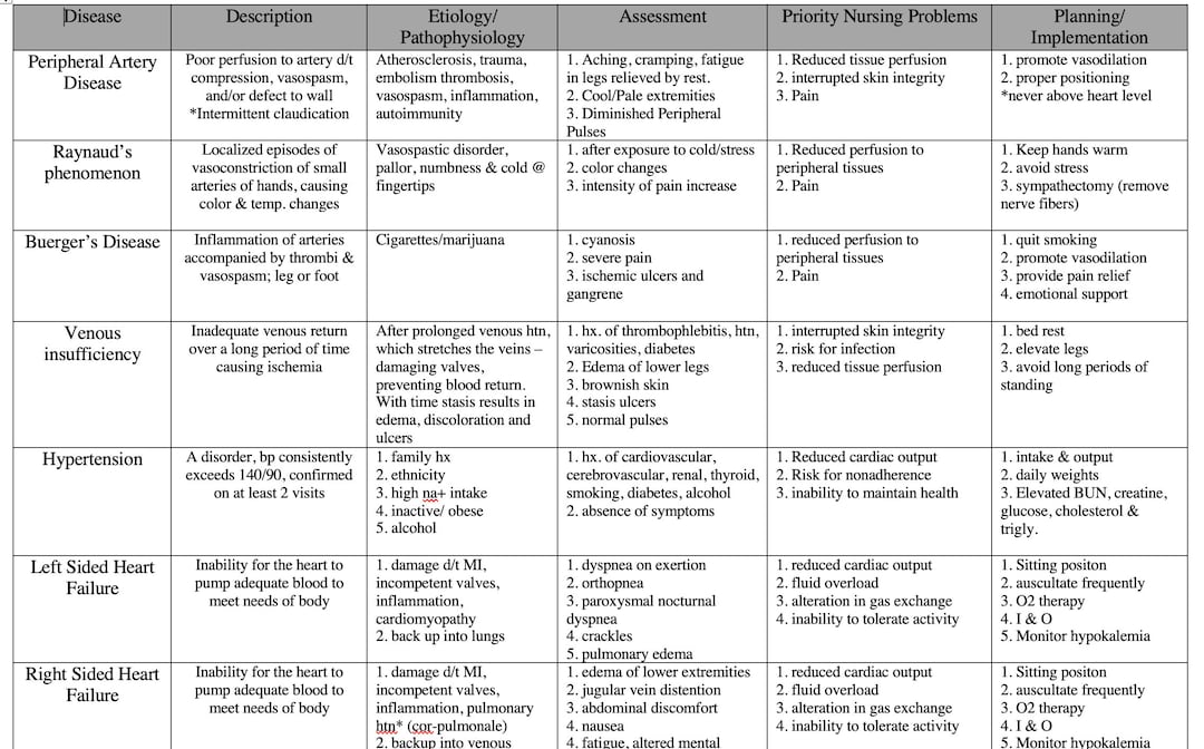 Disease Chart Study Guide - Etsy