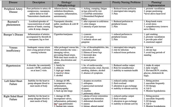 Disease Chart Study Guide | Etsy