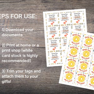 LDS Girls Camp Treat Tags: Printable Pillow Treat Gifts (digital ...