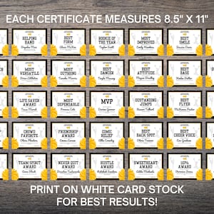 Editable Cheerleading Award Certificates: End of Season Team Awards ...