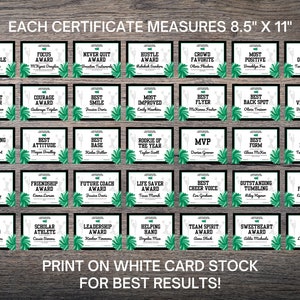 Editable Cheerleading Award Certificates: Team Awards With Green ...