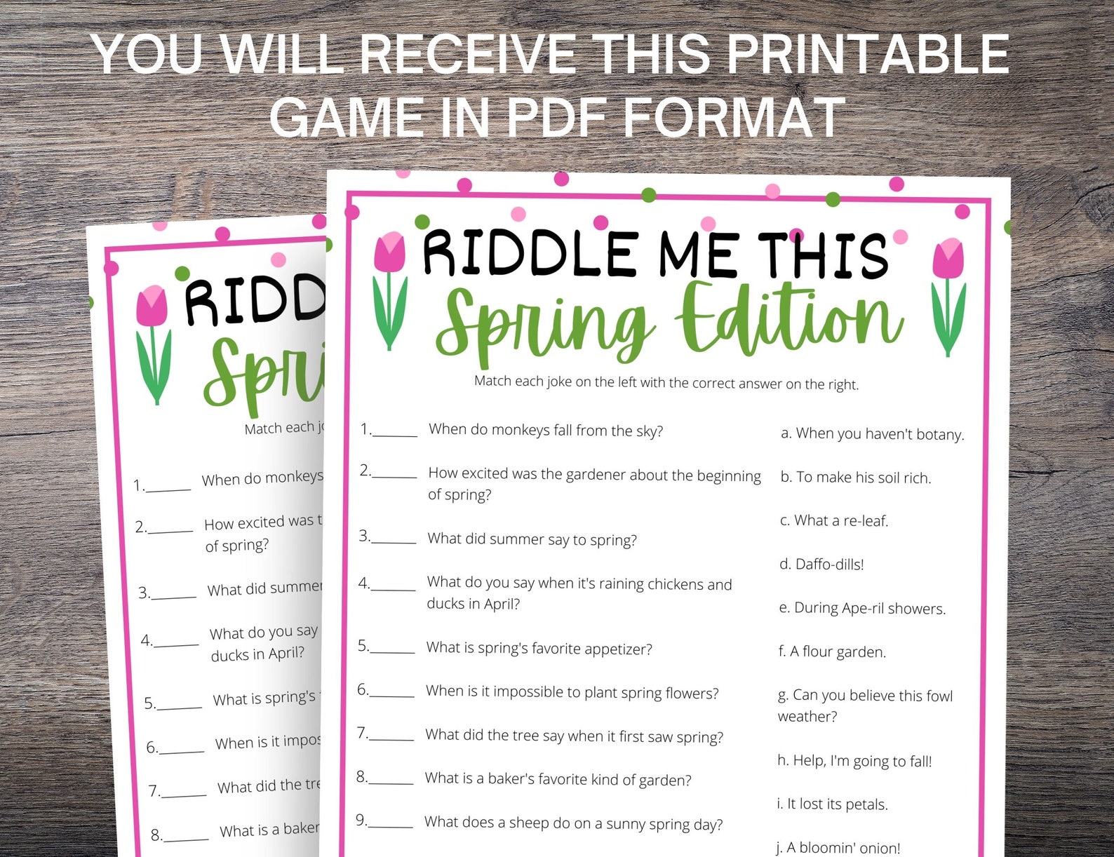 Spring Riddle Me This Game Funny Spring Jokes Game for Kids - Etsy