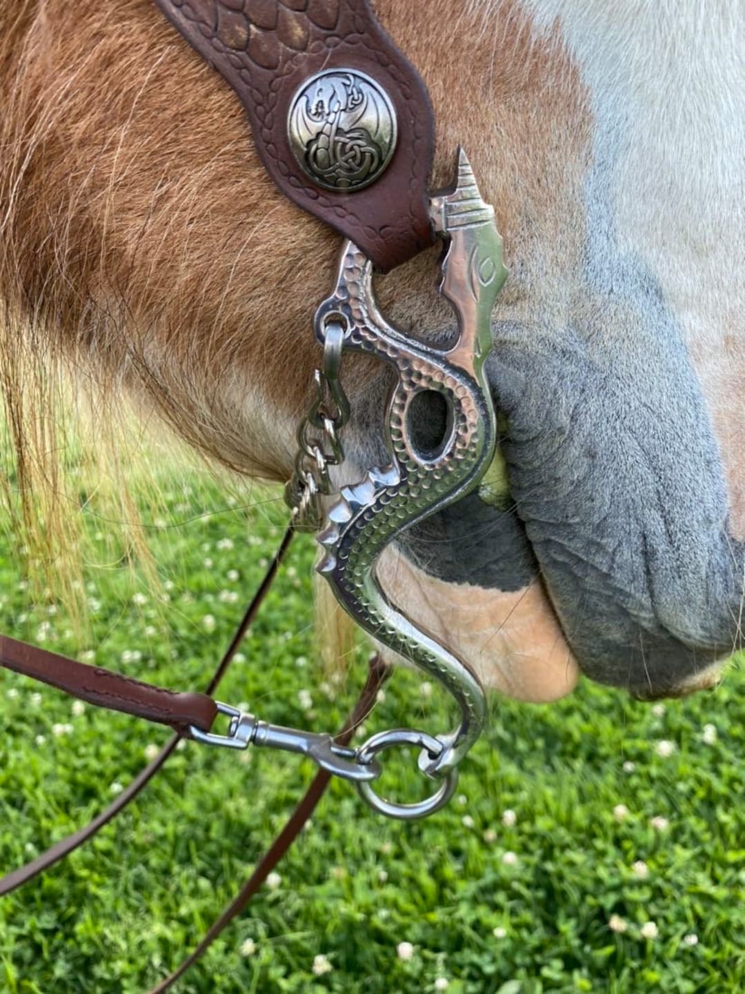 Dragon Academic Horse Curb Bit. Stainless Steel. 4.5”-7” Sizes Includes ...