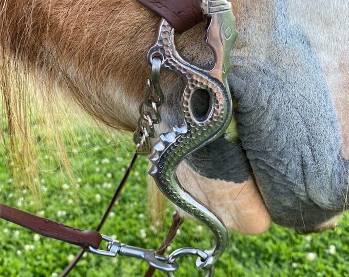 Dragon Academic Horse Curb Bit. Stainless Steel. 4.57 Sizes Includes ...