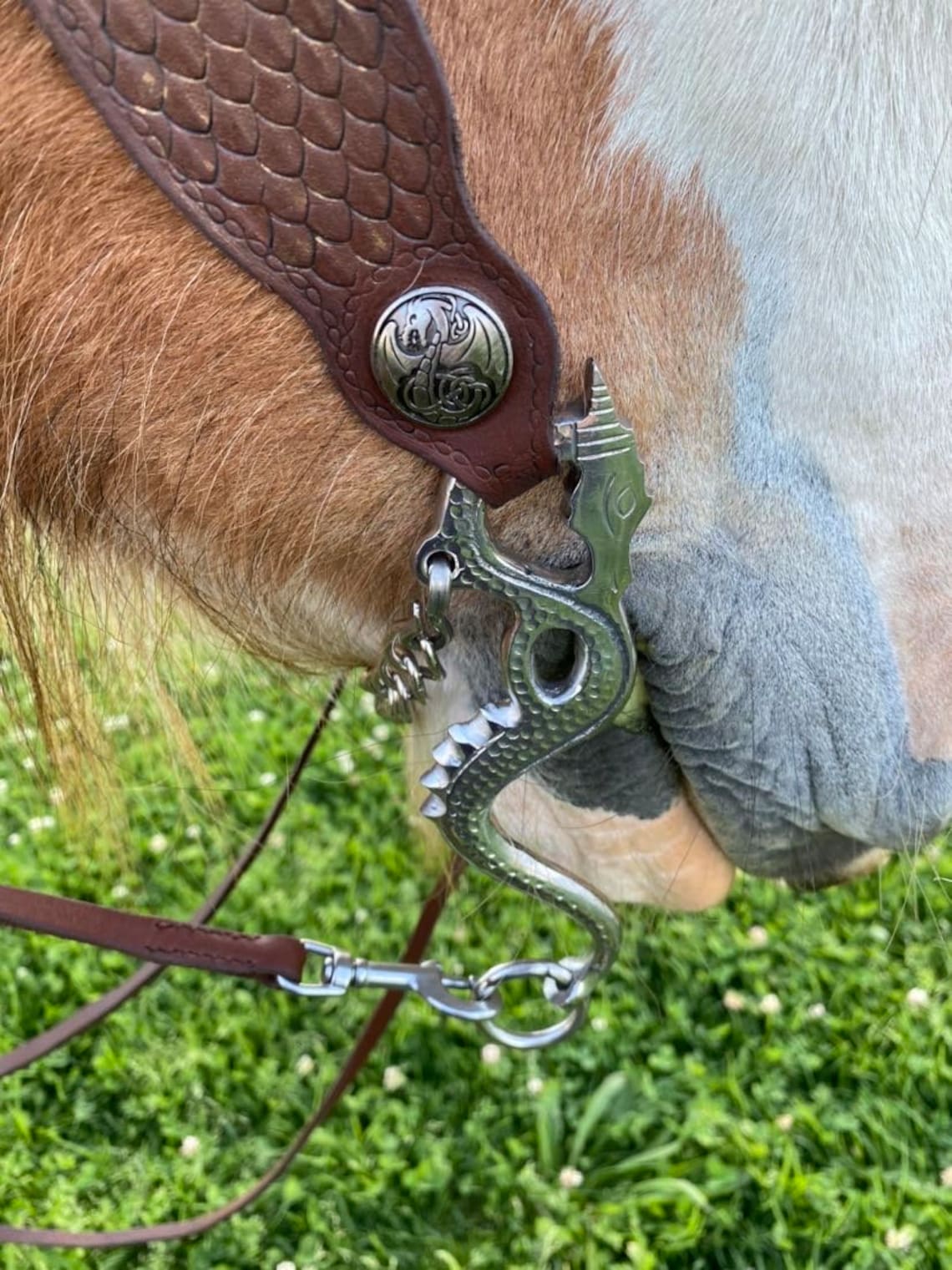 Dragon Academic Horse Curb Bit. Stainless Steel. 4.5”-7” Sizes Includes ...