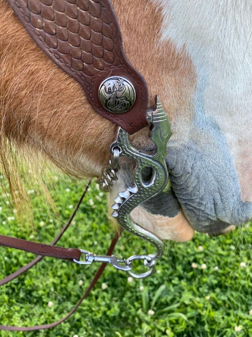 Dragon Academic Horse Curb Bit. Stainless Steel. 4.5”-7” Sizes Includes ...