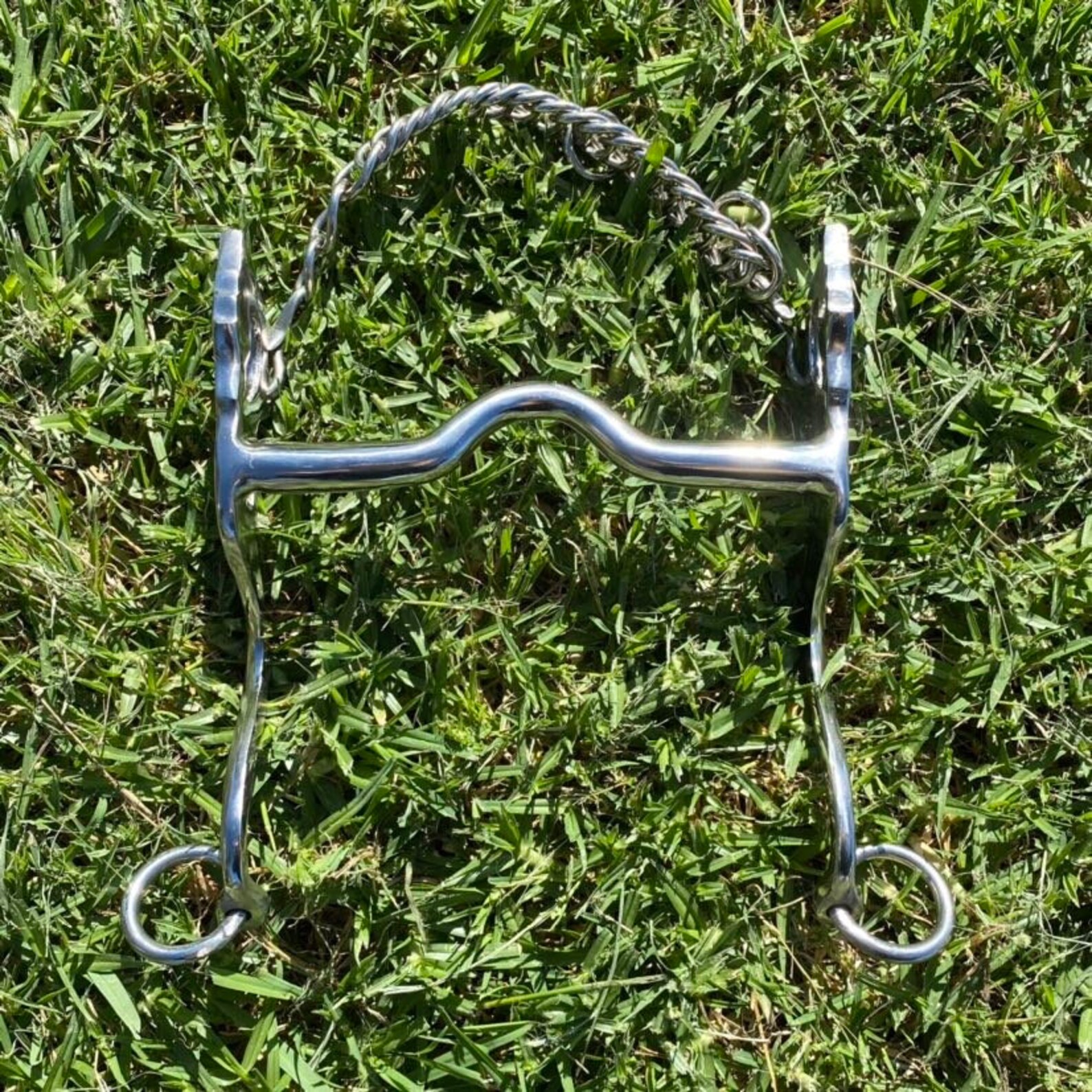 Dragon Academic Horse Curb Bit. Stainless Steel. 4.5”-7” Sizes Includes ...