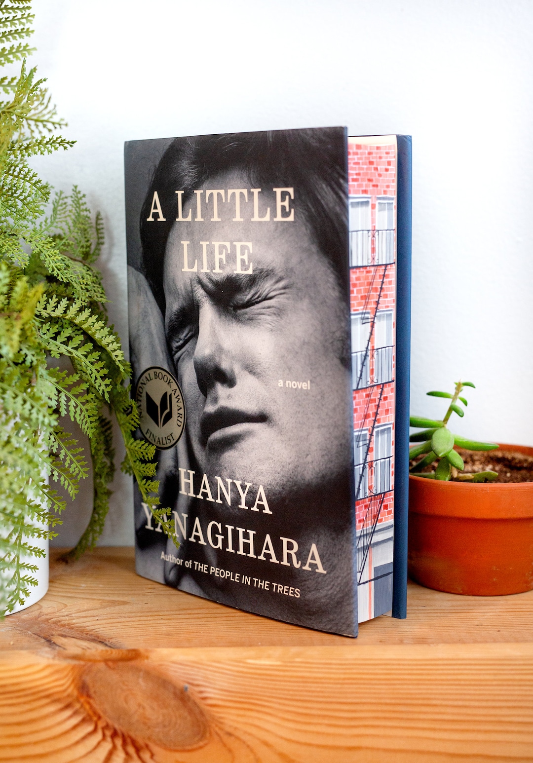 A Little Life by Hanya Yanagihara: Hand-painted Hardcover Book - Etsy