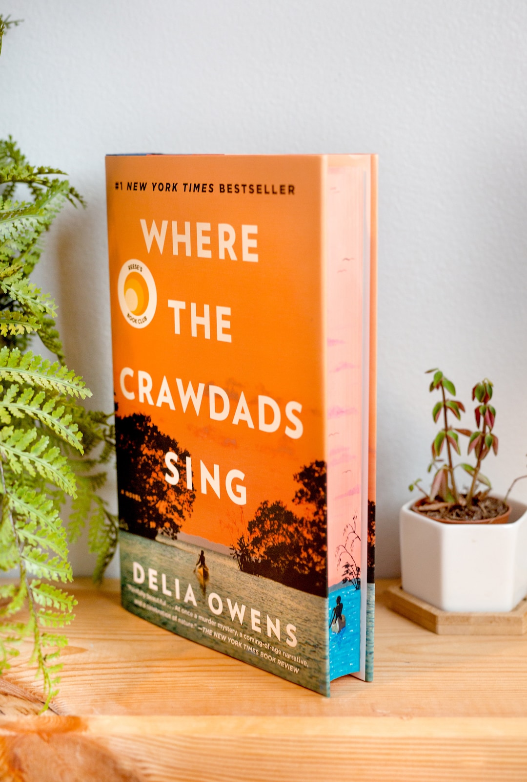 Where the Crawdads Sing - Etsy