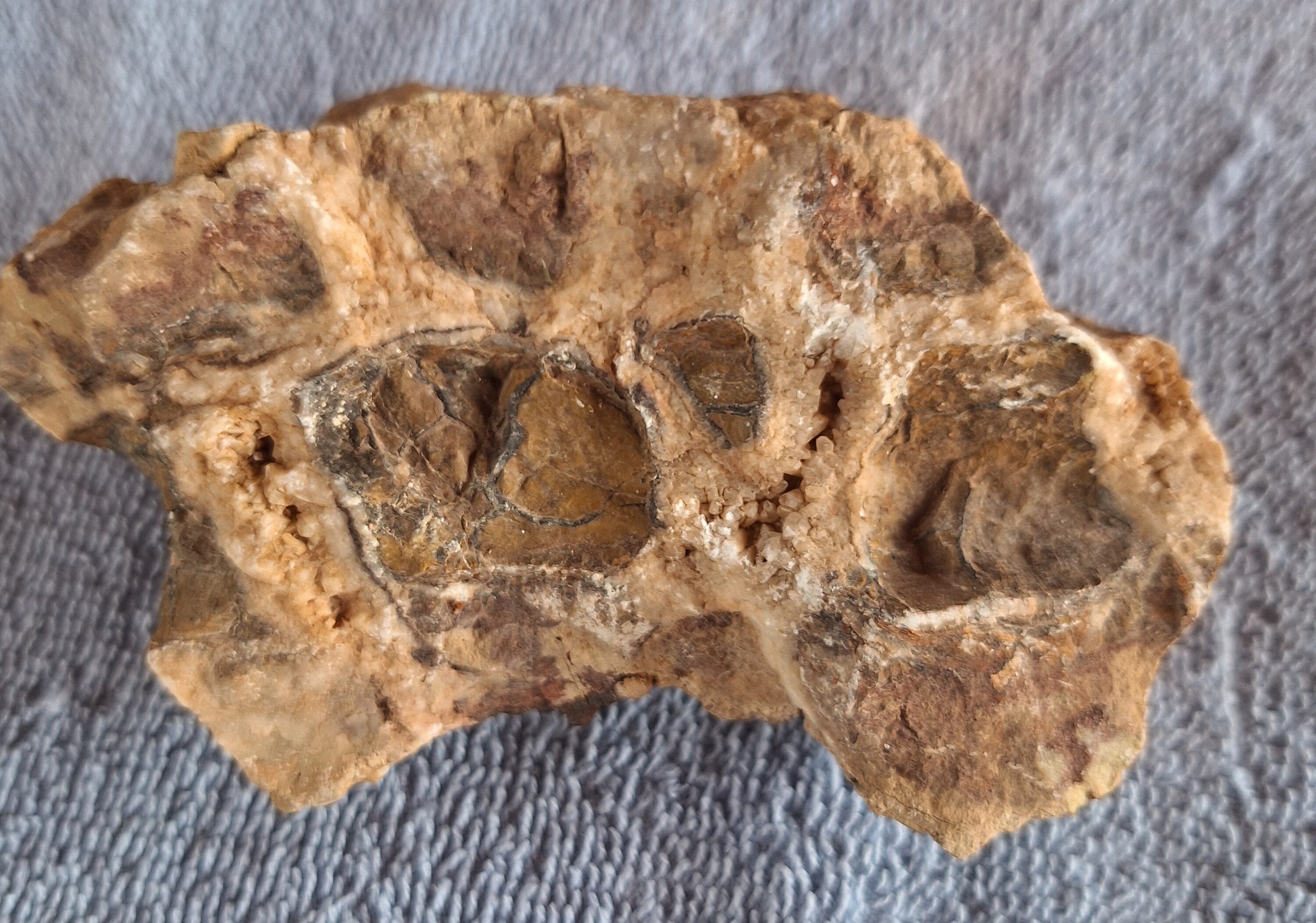 Extremely Rare Septarian Nodule Raw - Etsy