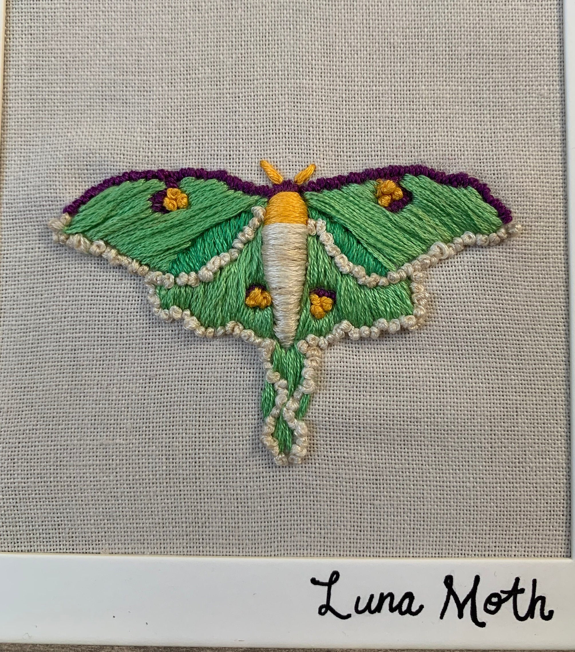 Embroidered Luna Moth - Etsy