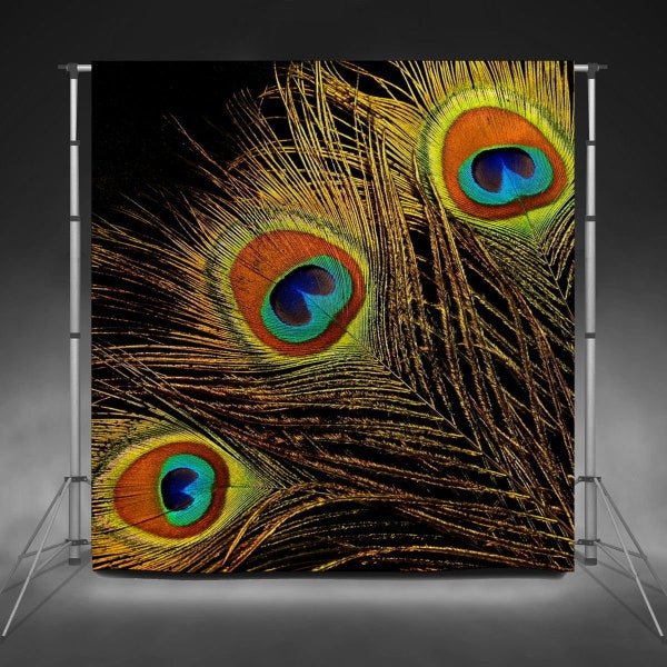 Feathers Photo Backdrop - Etsy